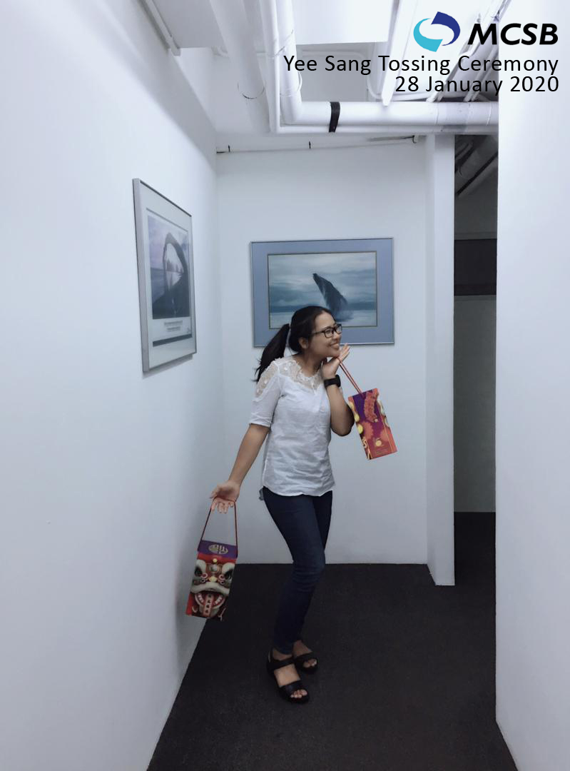 MCSB Systems Sdn Bhd